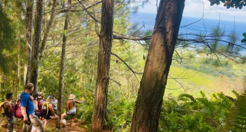 Tumutoa Tours | Explore Rarotonga